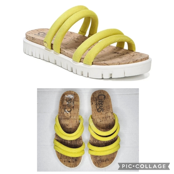 Circus by Sam Edelman | Shoes | Womens Circus By Sam Edelman Sharp ...